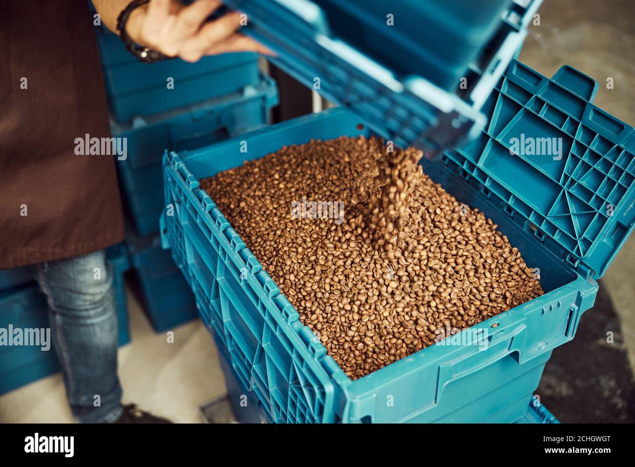 Male worker pouring coffee beans into blue storage crate Stock Photo ...