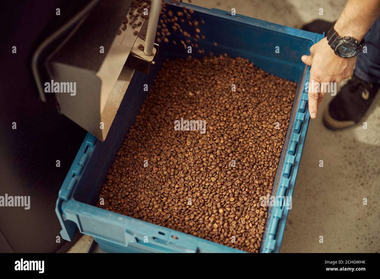 Male worker collecting coffee beans after roasting in machine Stock ...