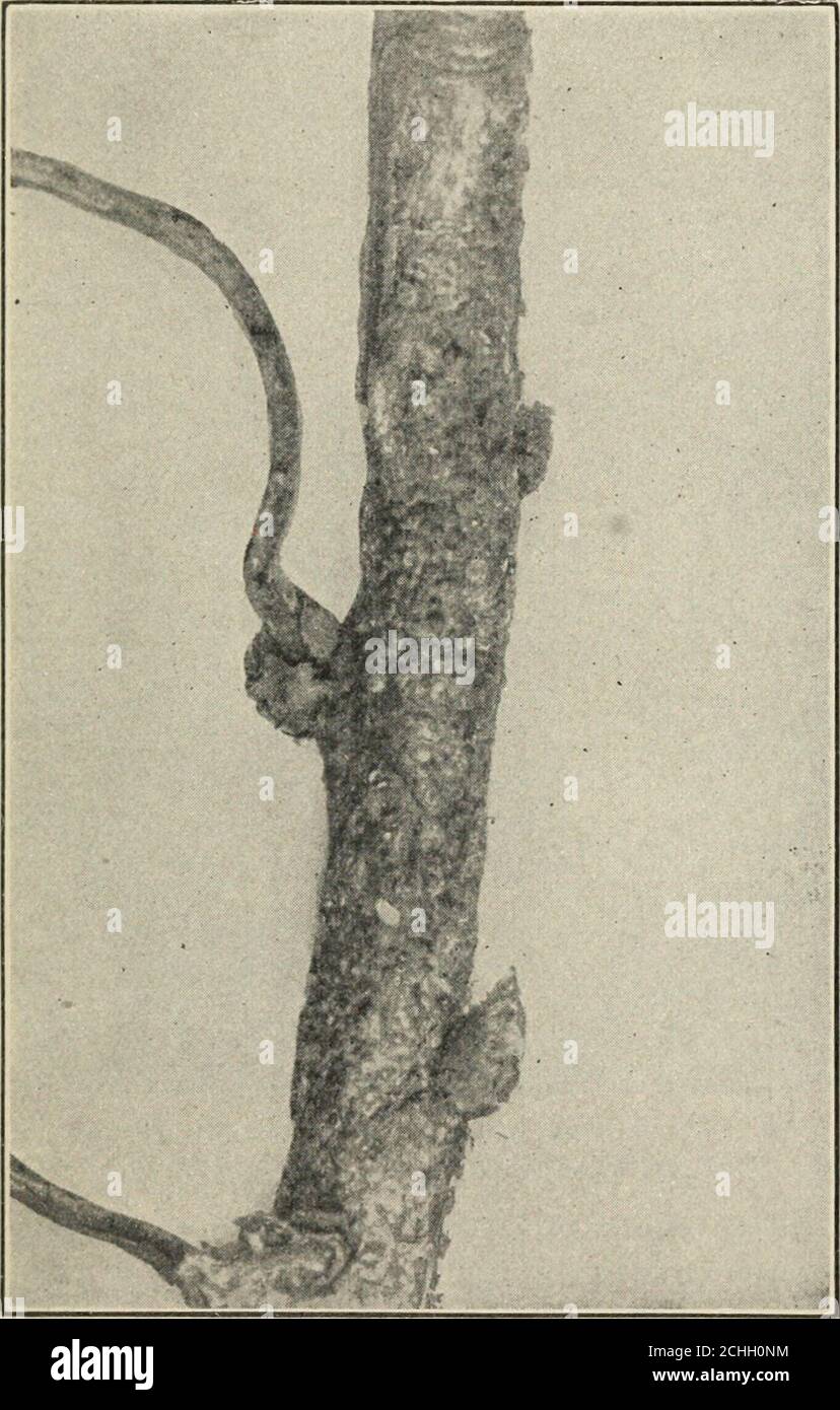 Josr hi-res stock photography and images - Alamy