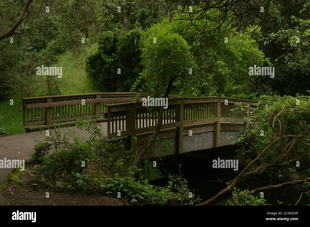 A footbridge over a pond in a park Stock Photo - Alamy