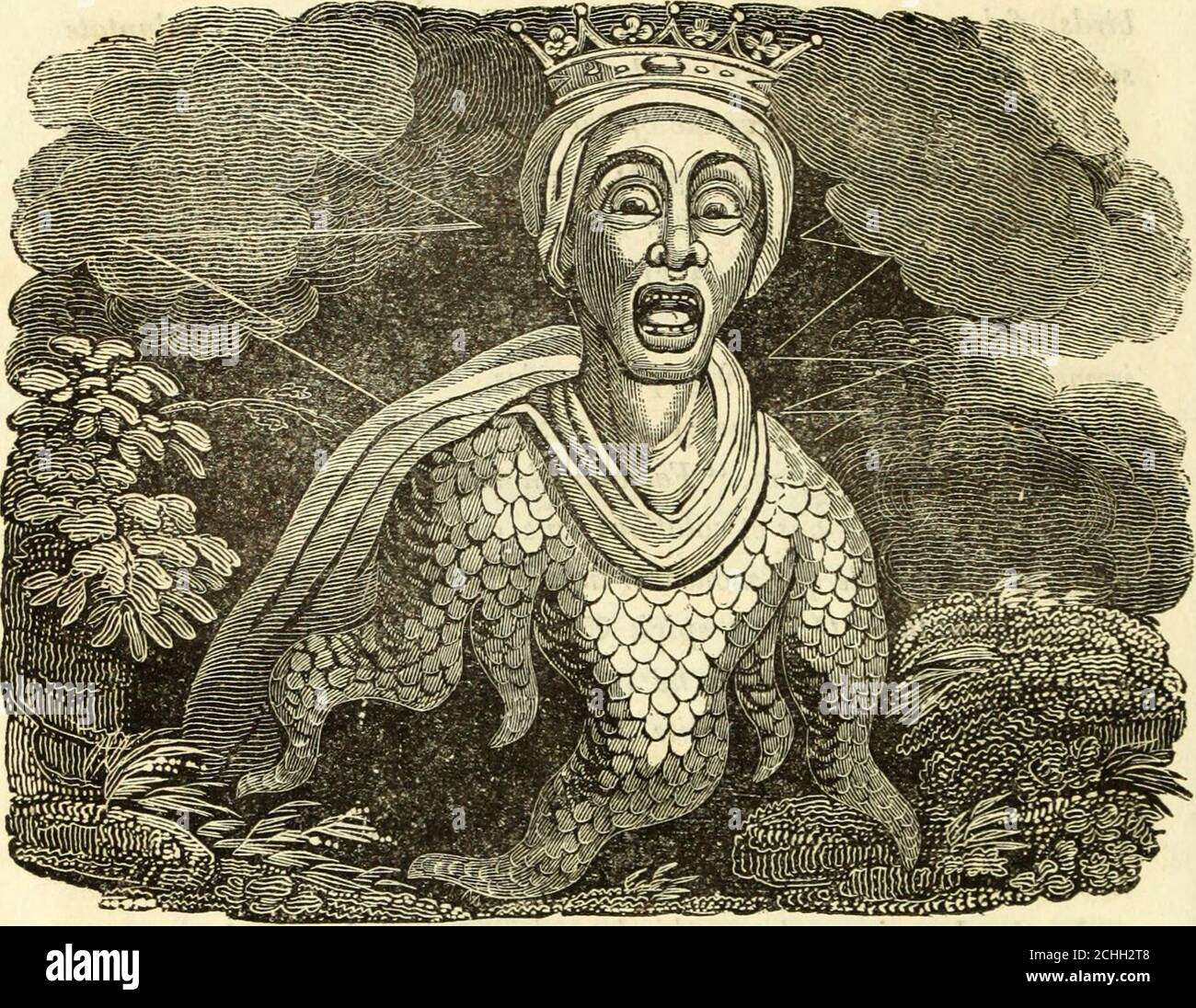 Invincible creatures hi-res stock photography and images - Alamy