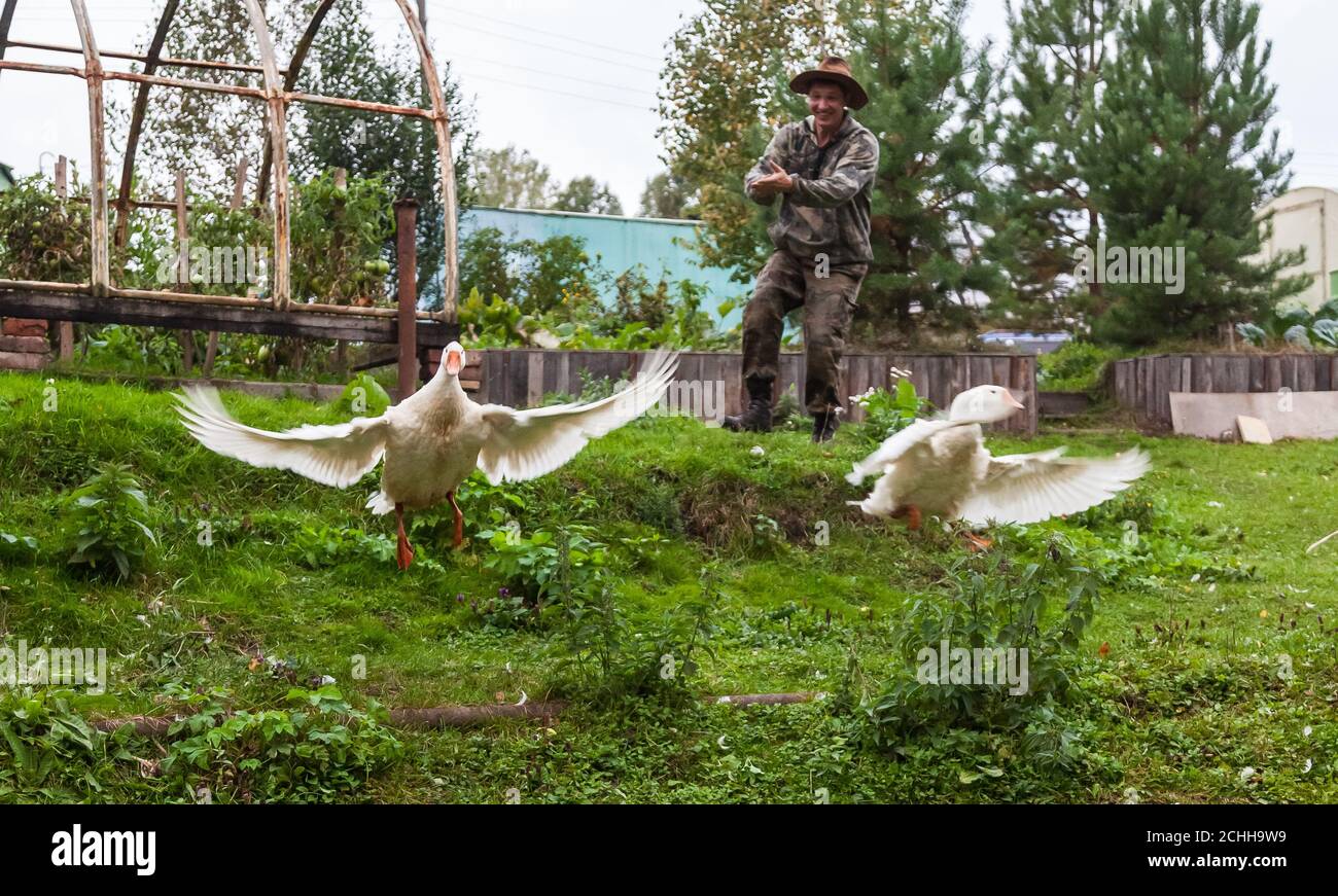 A funny photo of a male farmer in a camouflage suit and a straw hat ...
