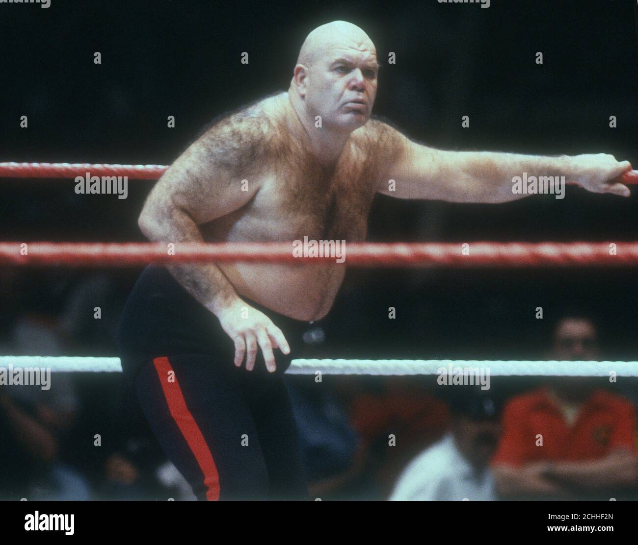 George "The Animal" Steele, 1989, Photo By John Barrett/PHOTOlink Stock ...