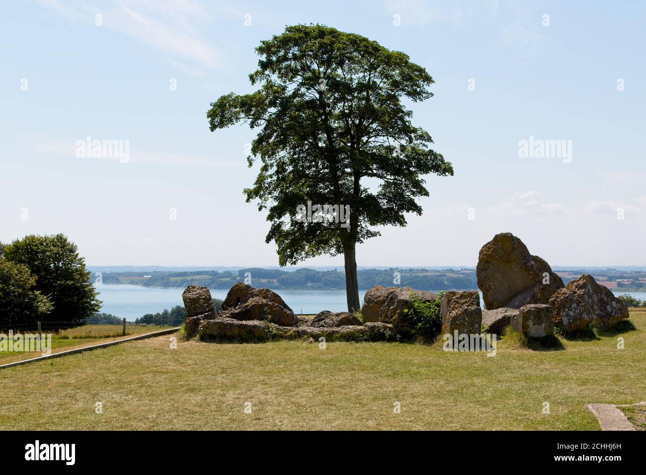 Large tree surrounded hi-res stock photography and images - Alamy