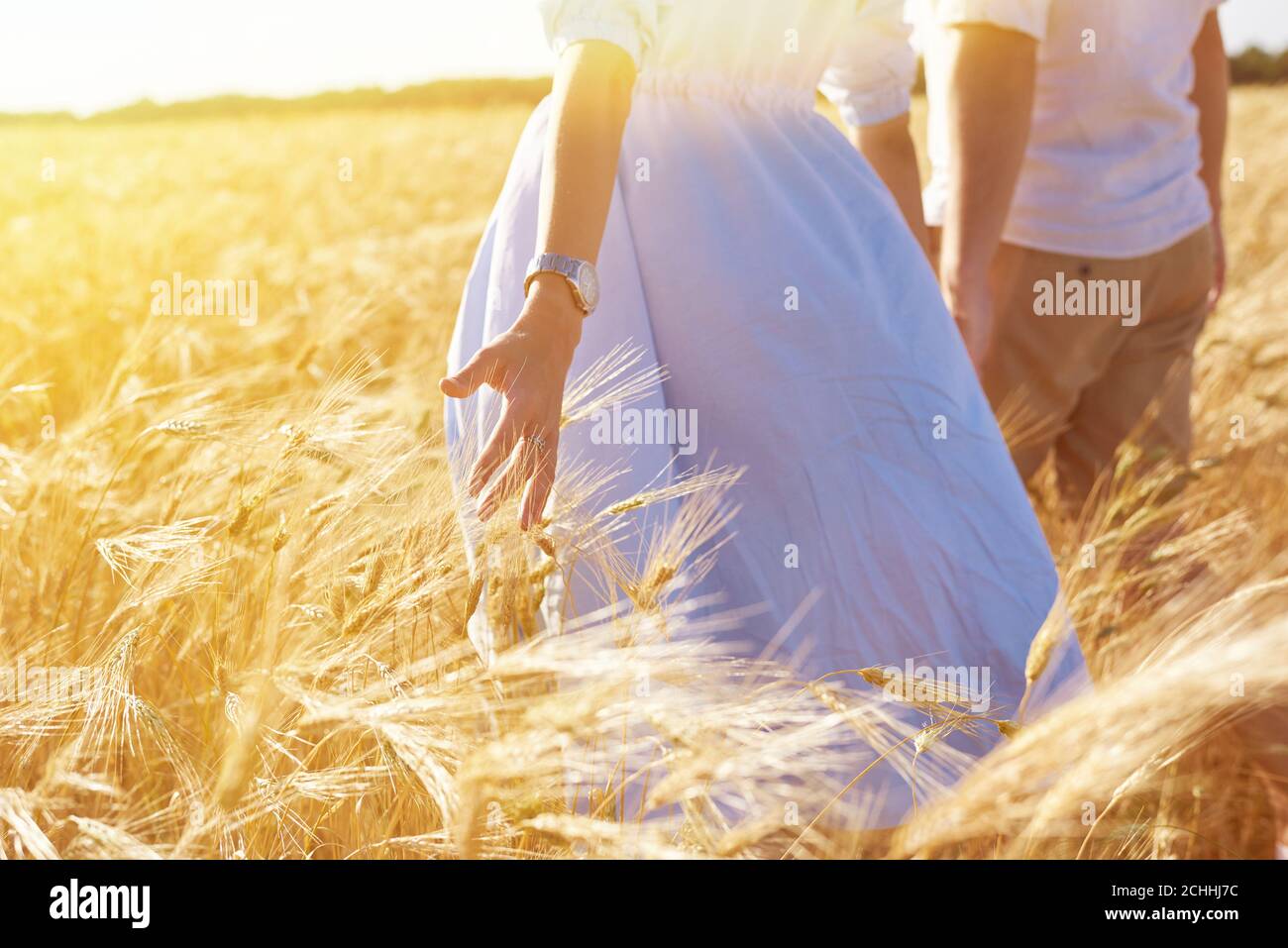 A couple in love walks through a wheat field. Close-up of the girl's ...