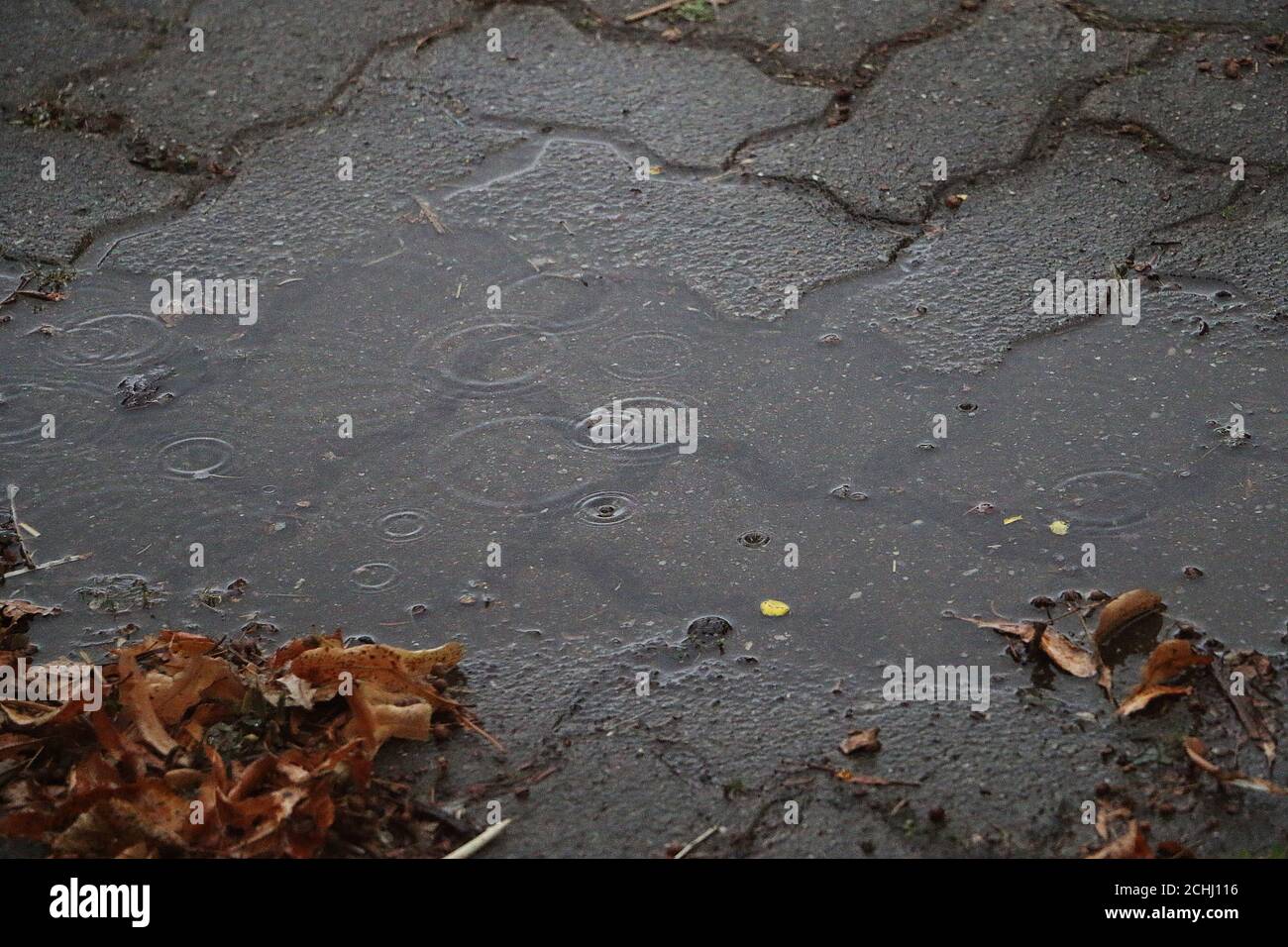 Rain falling into the road puddle Stock Photo - Alamy