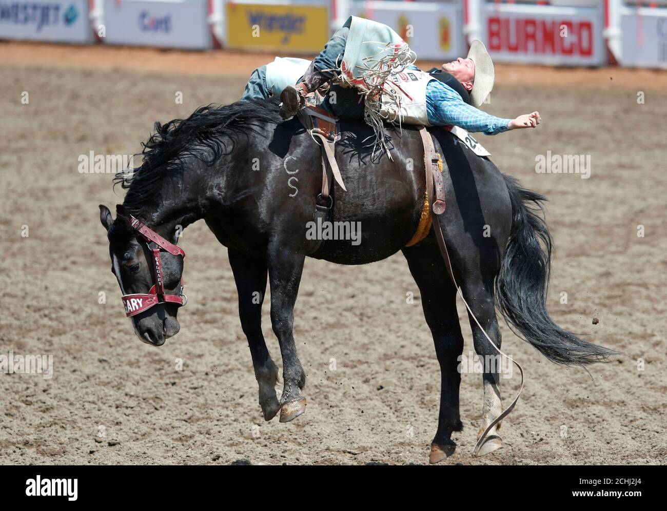 Rodeo champion hi-res stock photography and images - Alamy