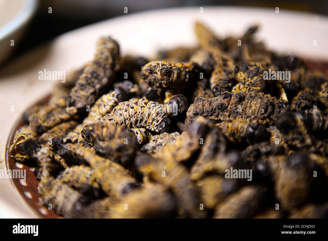Mopane Worms High Resolution Stock Photography and Images - Alamy