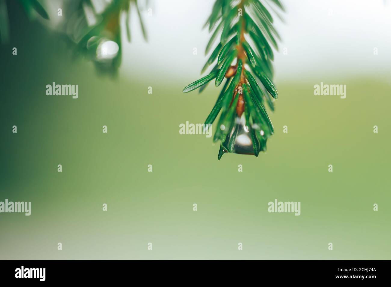 Workers work with cement mortar, loading the hopper bucket with mortar ...