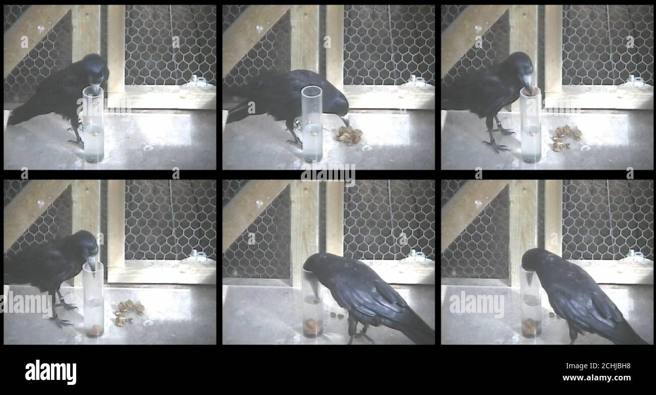 Embargoed to 1700 Thursday August 6. Composite images from video ...