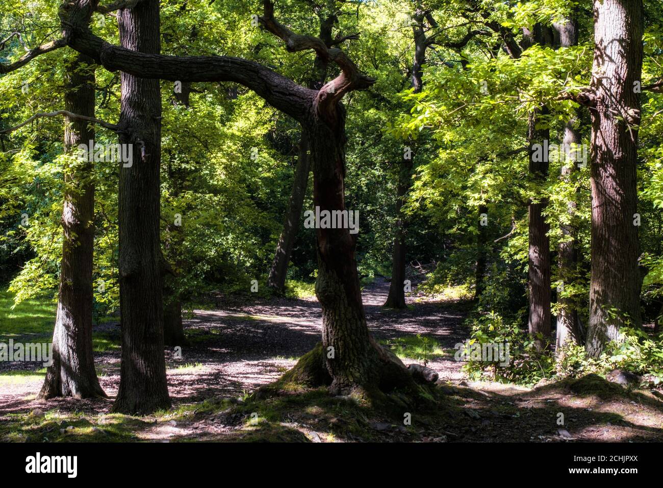 Uk spring sunshine hi-res stock photography and images - Alamy