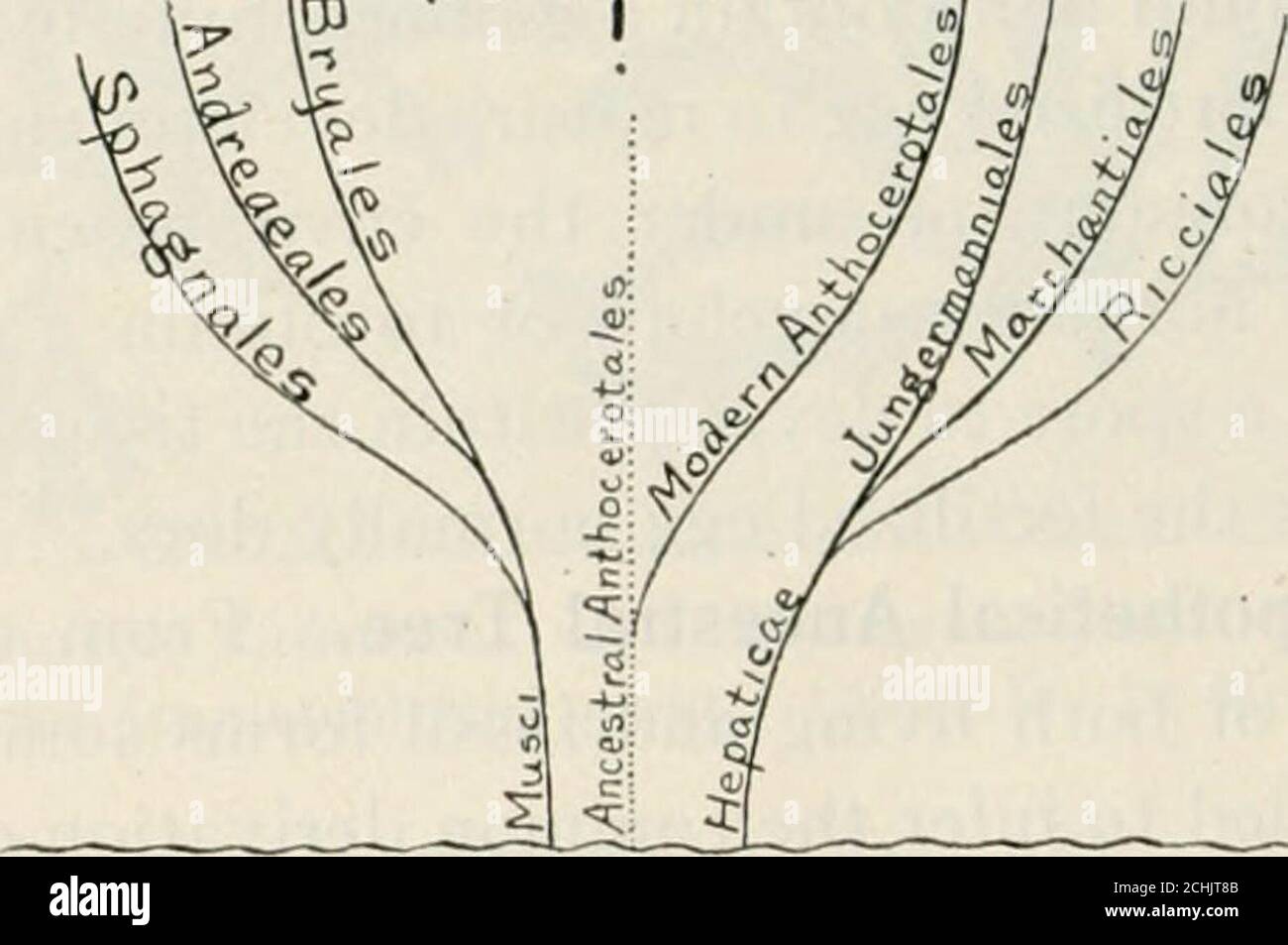 . Heredity and evolution in plants . M-EpN STOCK I (ross/J*rof?/wsJ. At ...