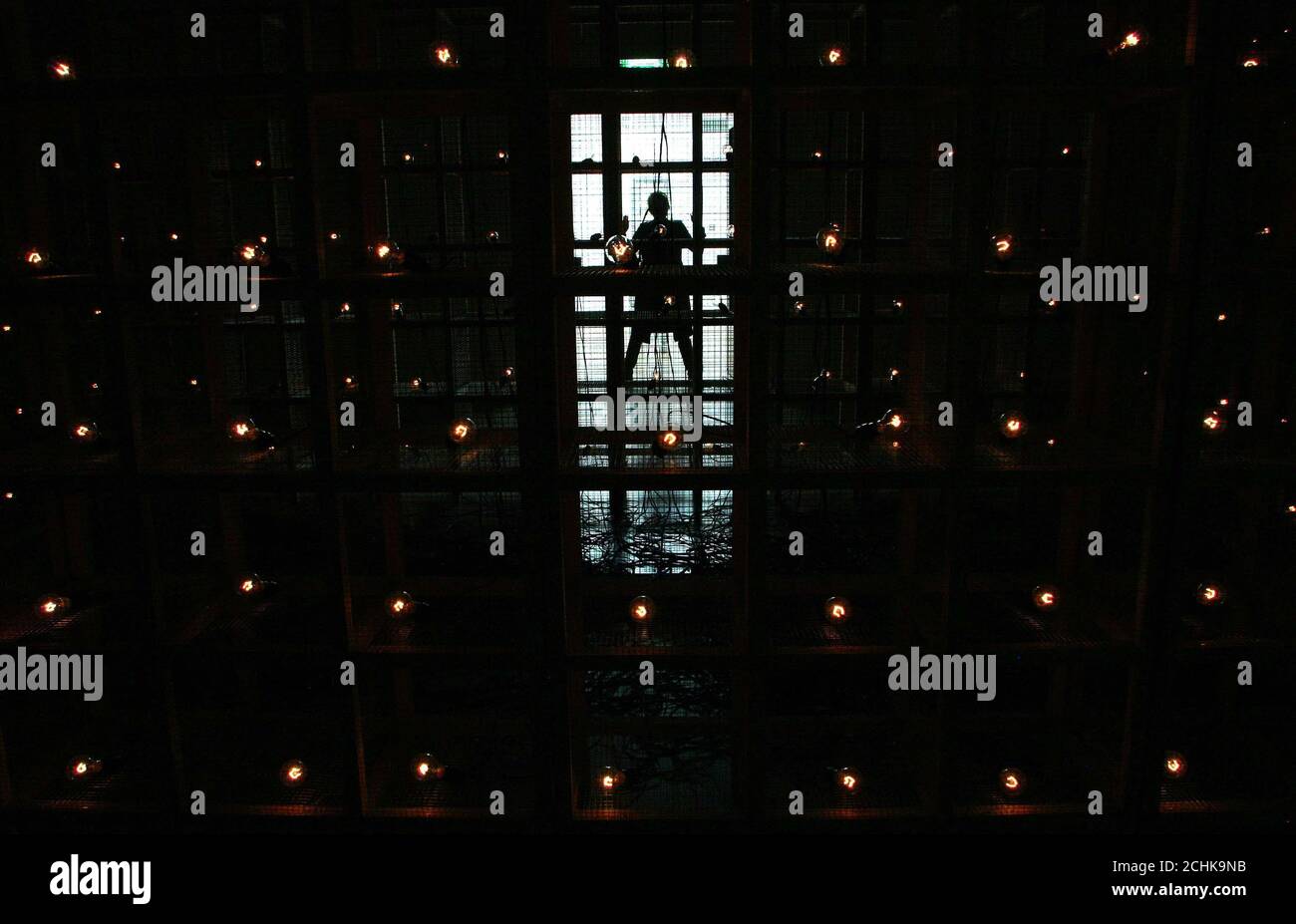 Meredith Nichols views Current Disturbance, a single room-filling ...