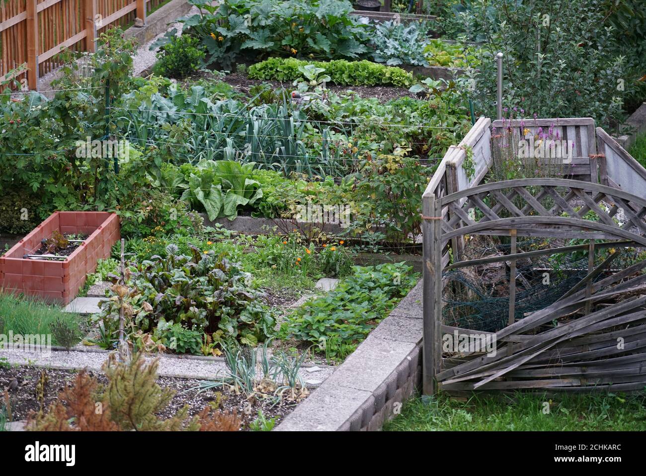 Vegetable cultivation garden with a ruined wooden structure Stock Photo ...