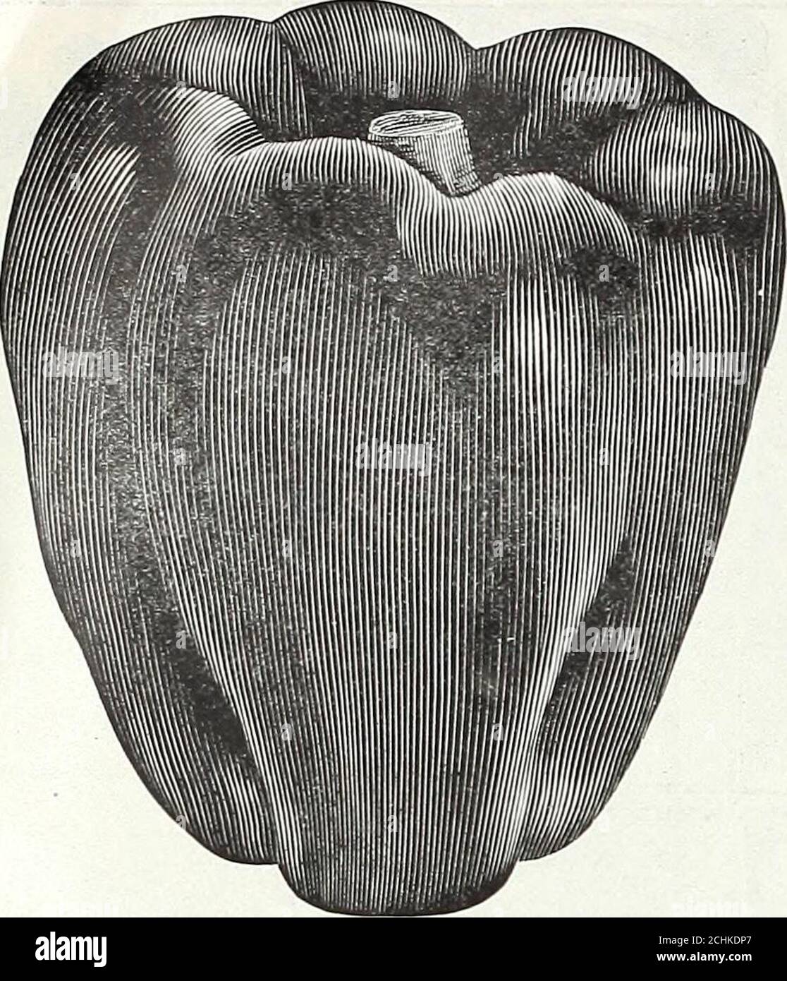 251 004 hi-res stock photography and images - Alamy