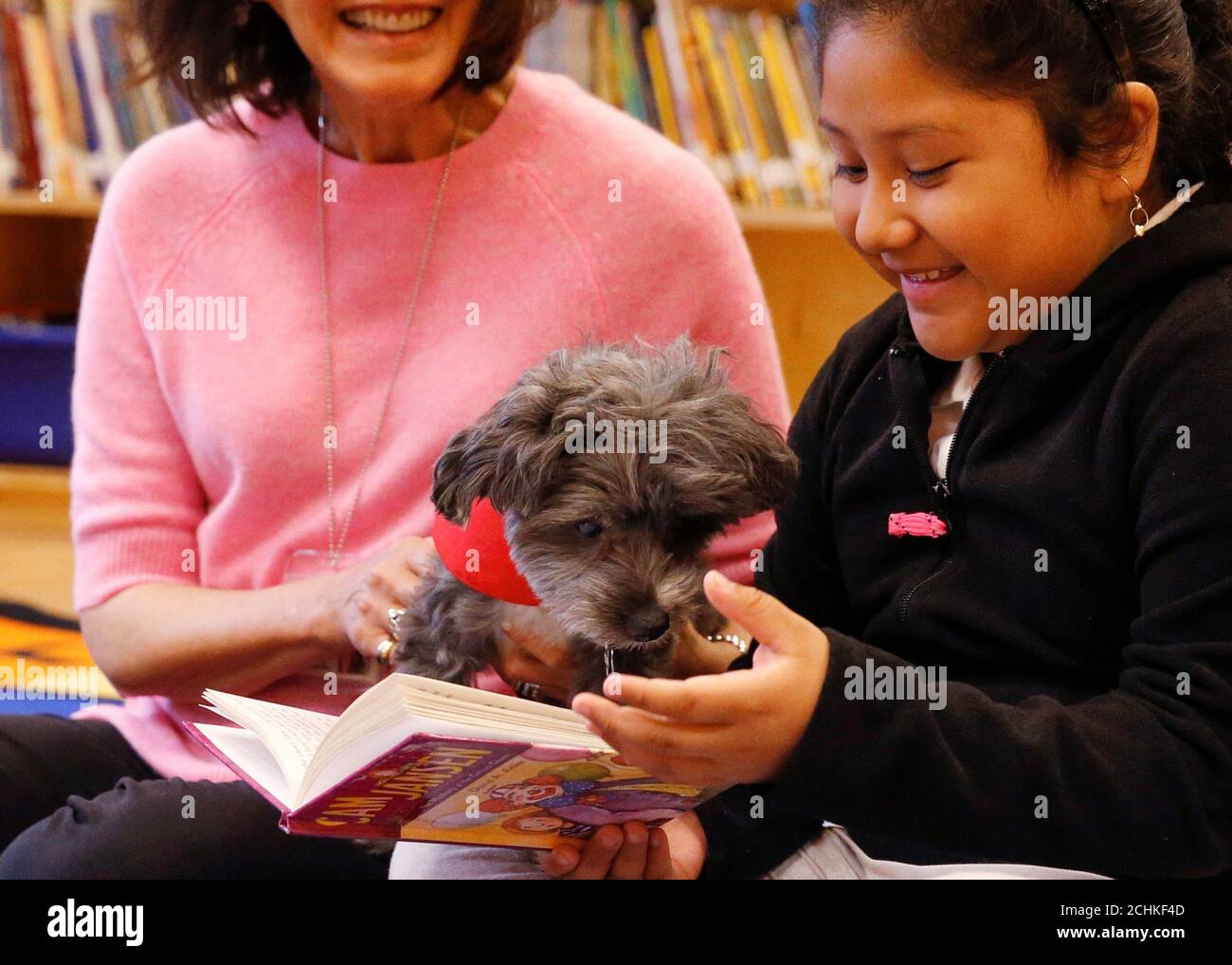 Reading therapy dog hi-res stock photography and images - Alamy
