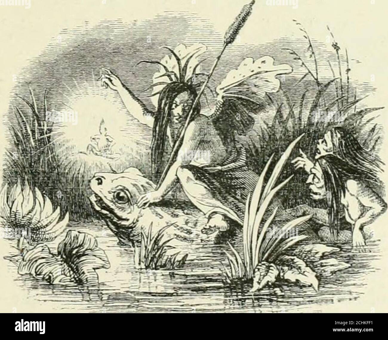 Midsummer eve fairies hi-res stock photography and images - Alamy