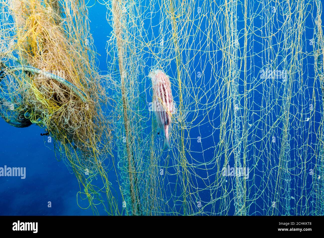 Fish protected area hi-res stock photography and images - Alamy