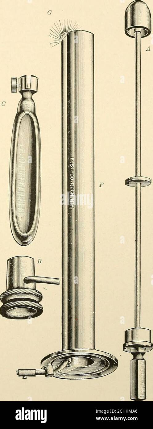 Rectal ampulla hi-res stock photography and images - Alamy