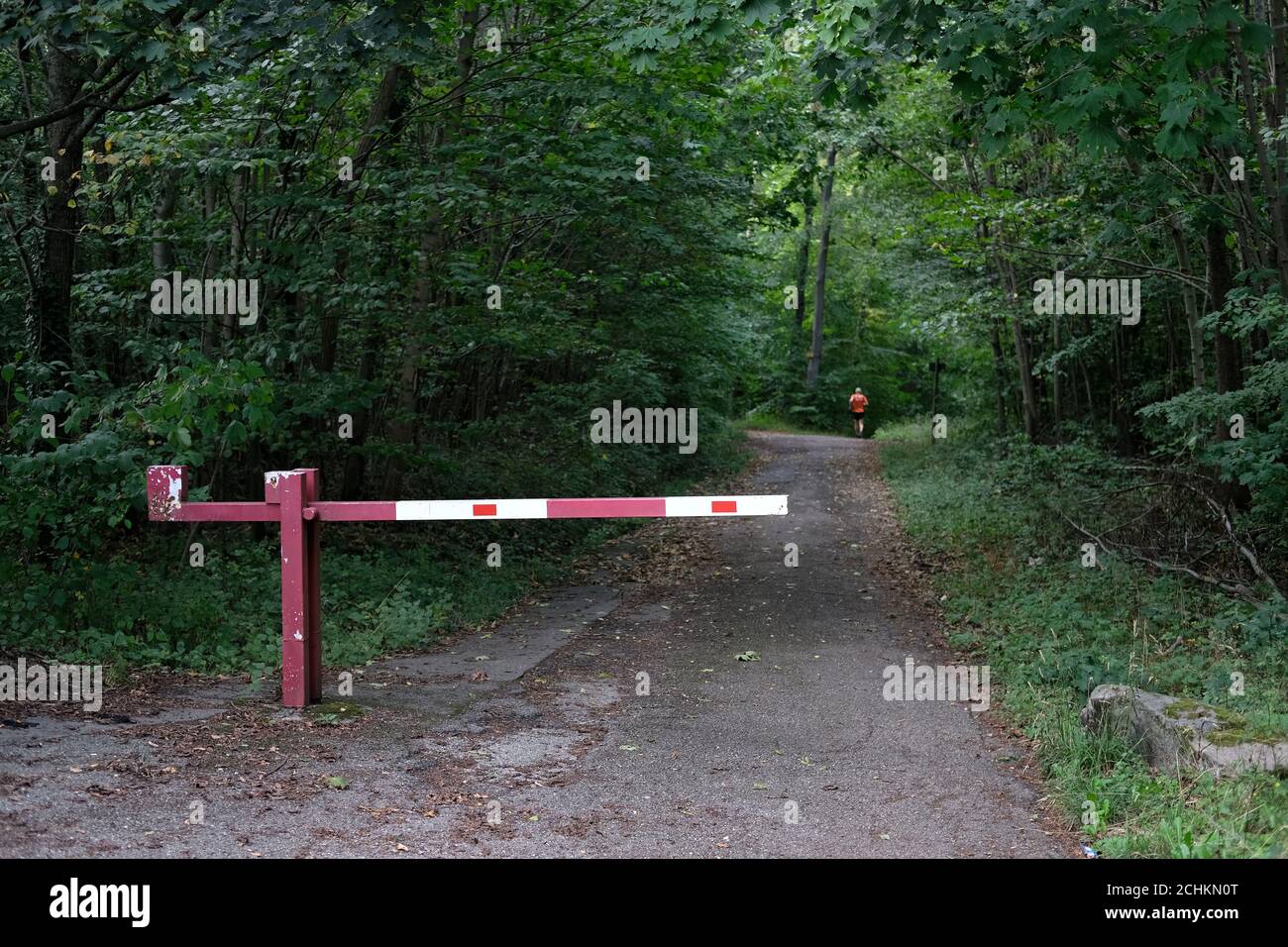 Closed pathway leading to a beautiful forest Stock Photo - Alamy