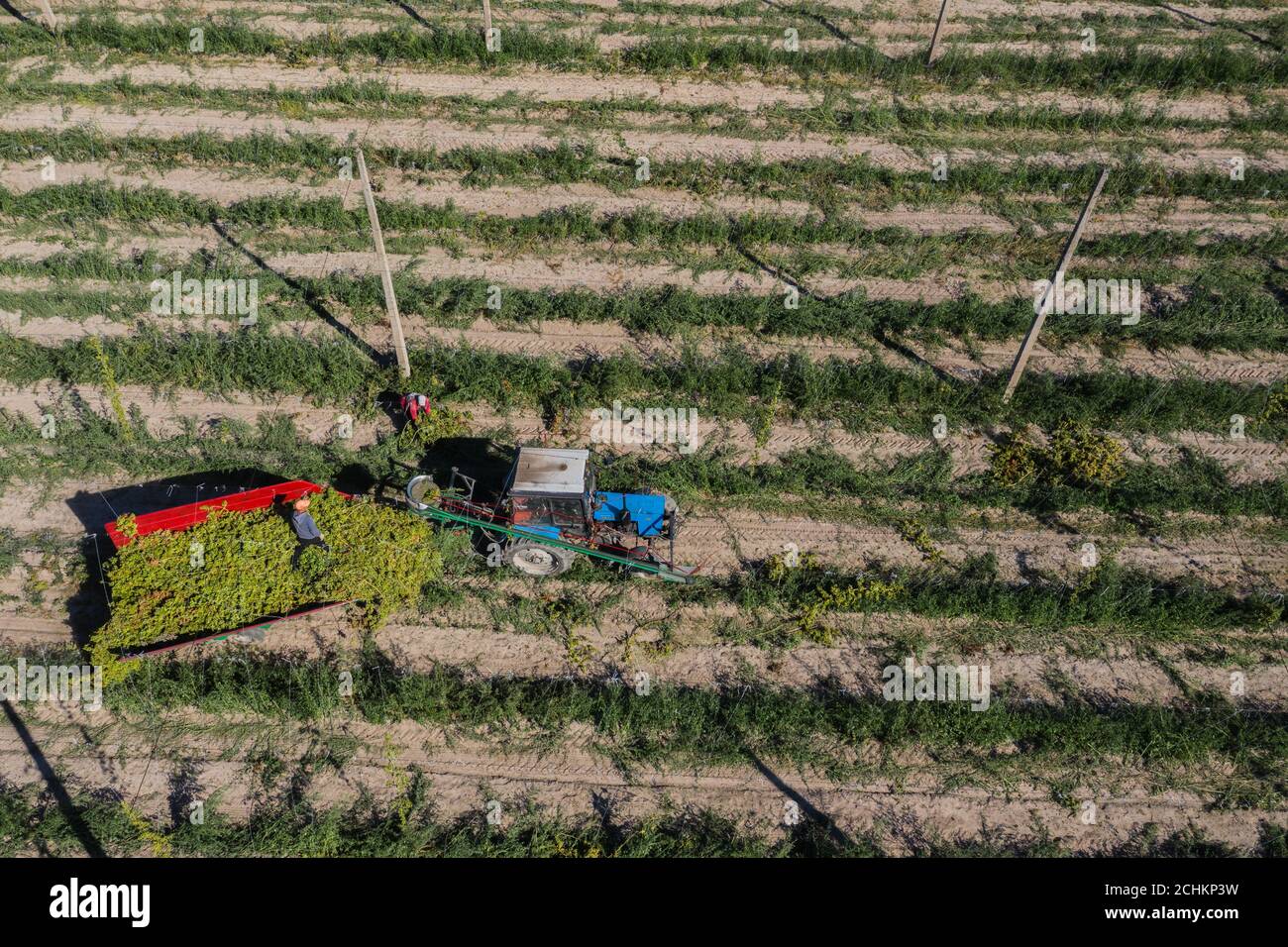 Hop picking machine hi-res stock photography and images - Alamy