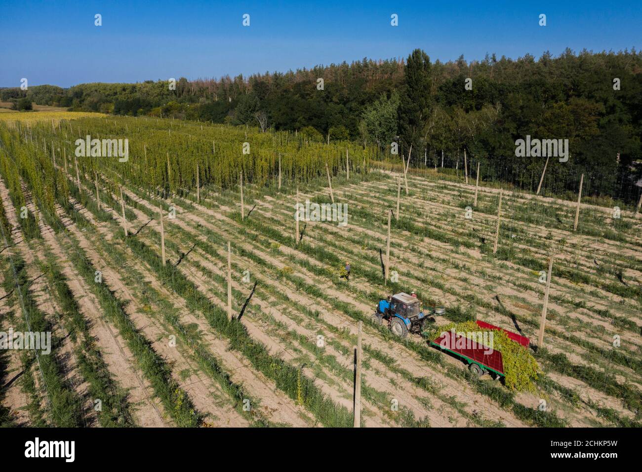 Hop picking machine hi-res stock photography and images - Alamy