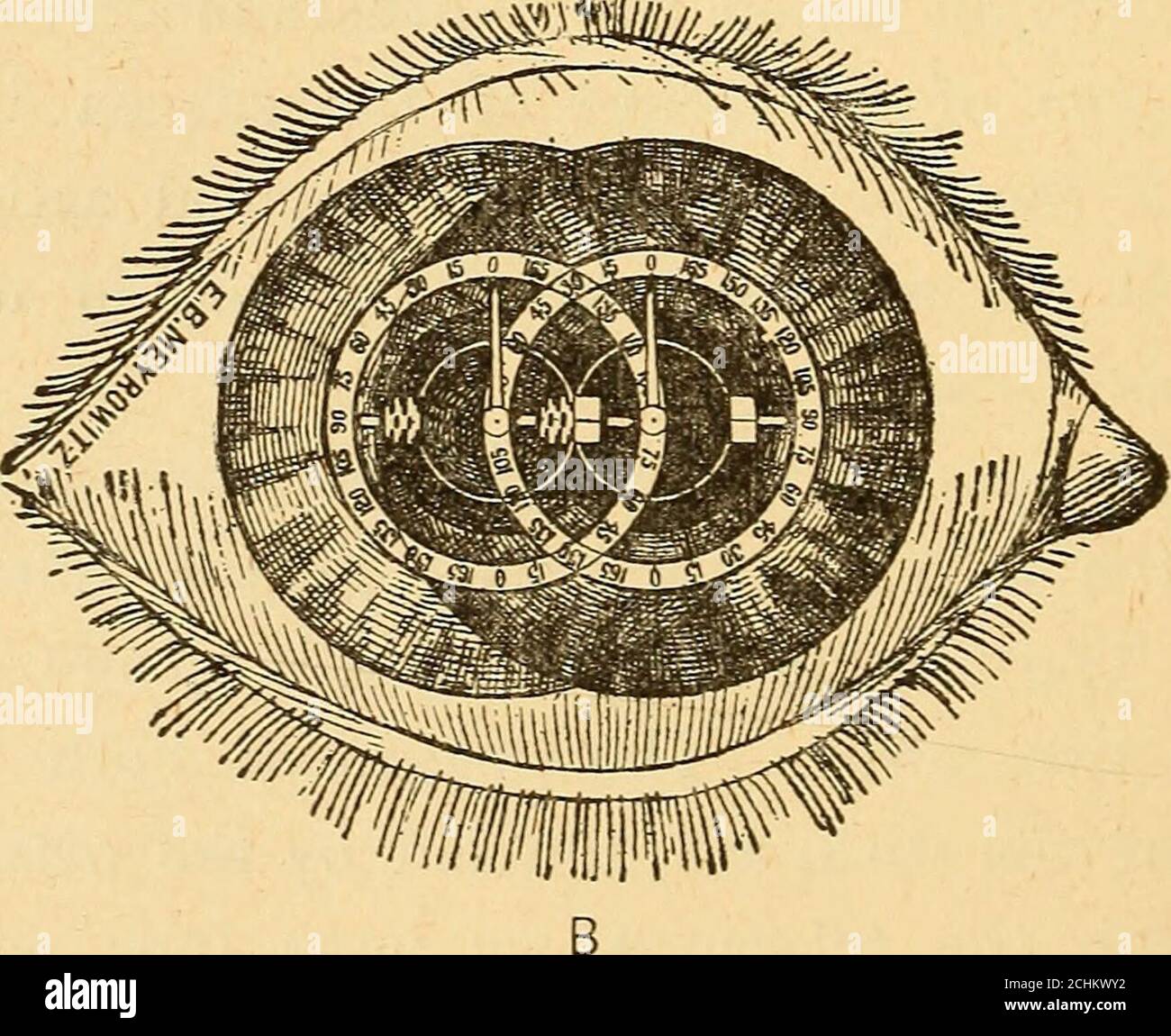 . The refraction of the eye; including a complete treatise on ...