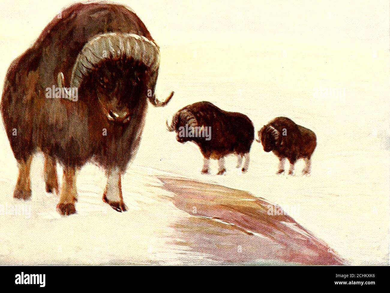 Wanderabout hi-res stock photography and images - Alamy