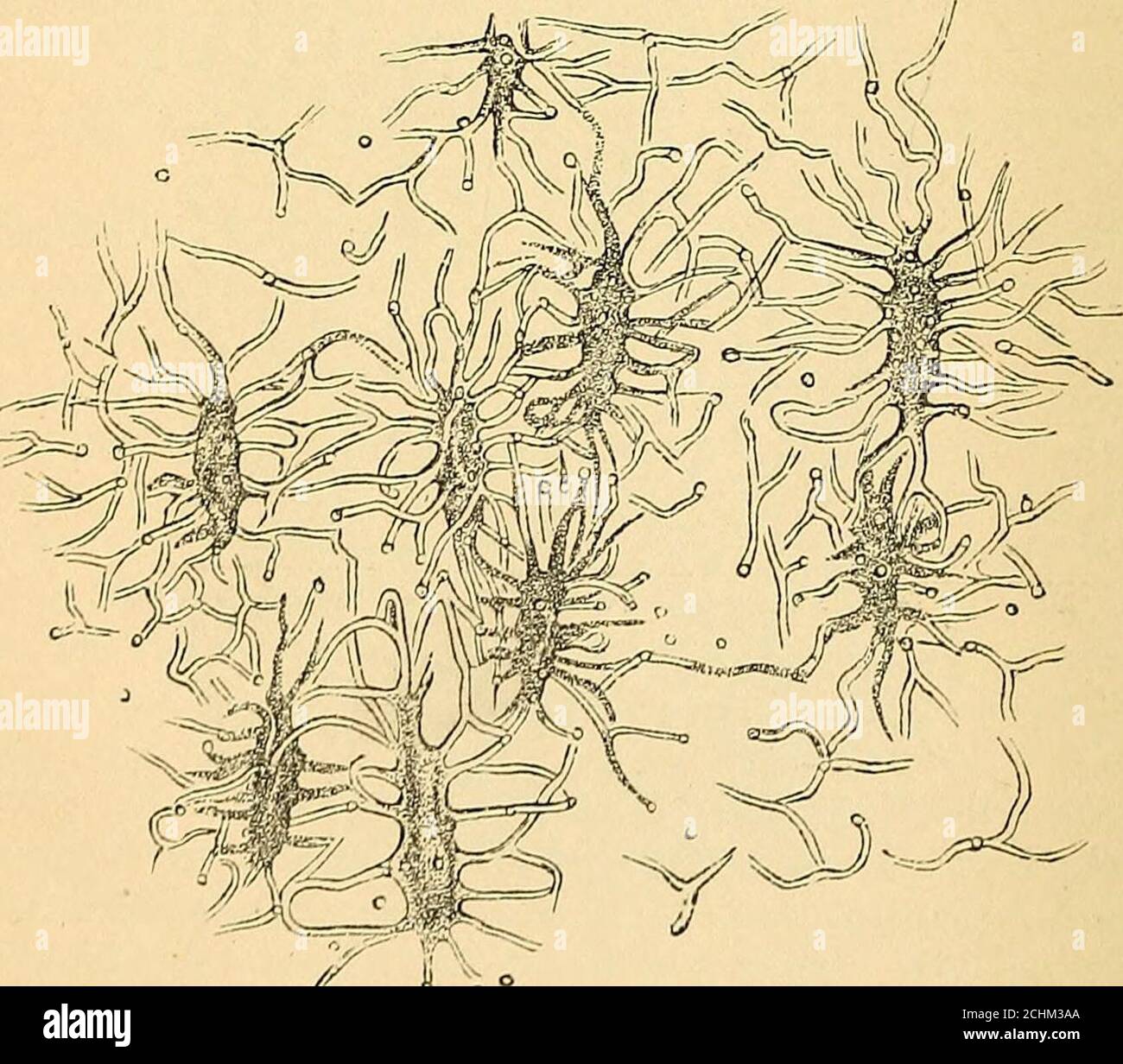 Concentric canals hi-res stock photography and images - Alamy
