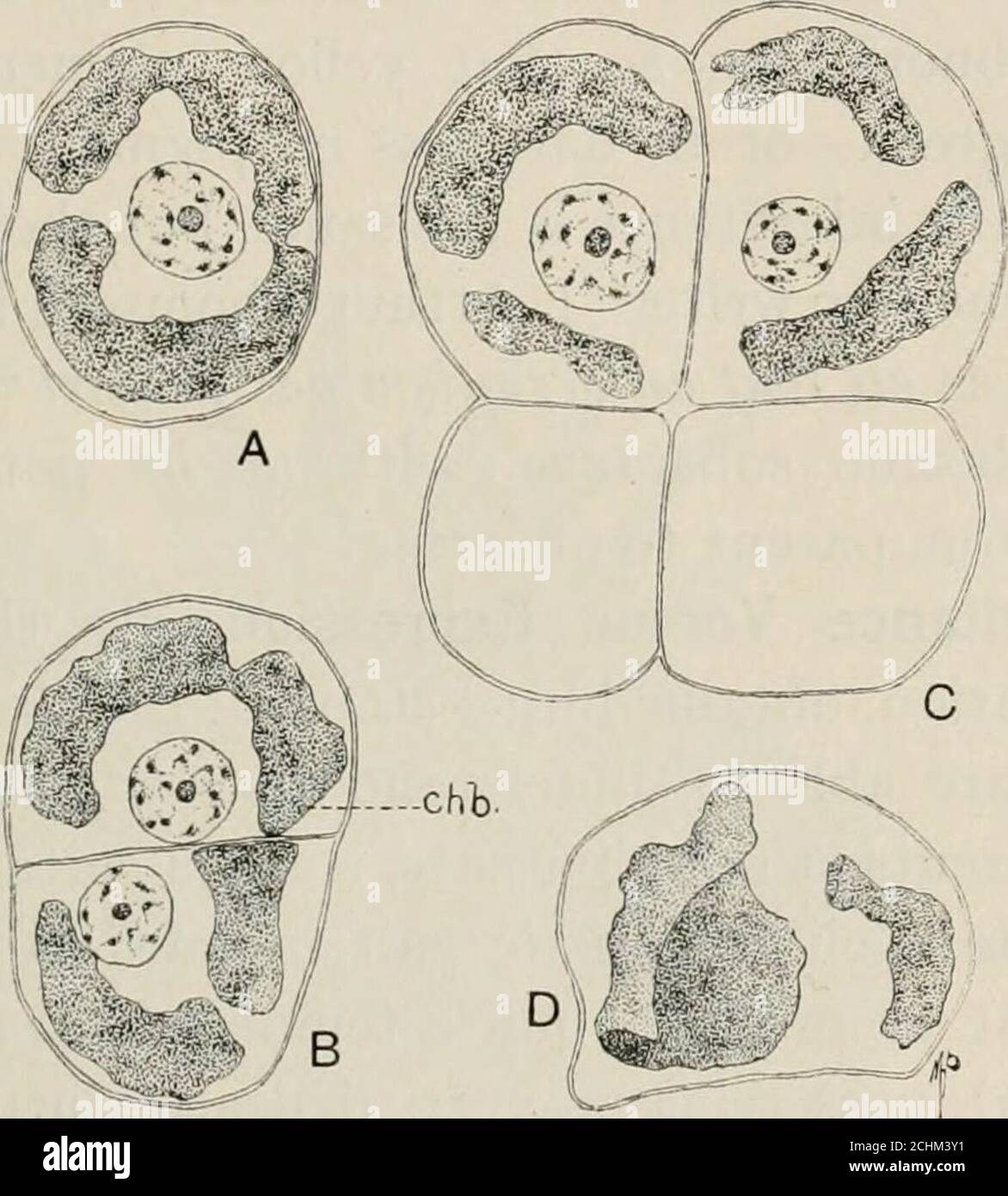 . Heredity and evolution in plants . nsi- of generations. The real ...