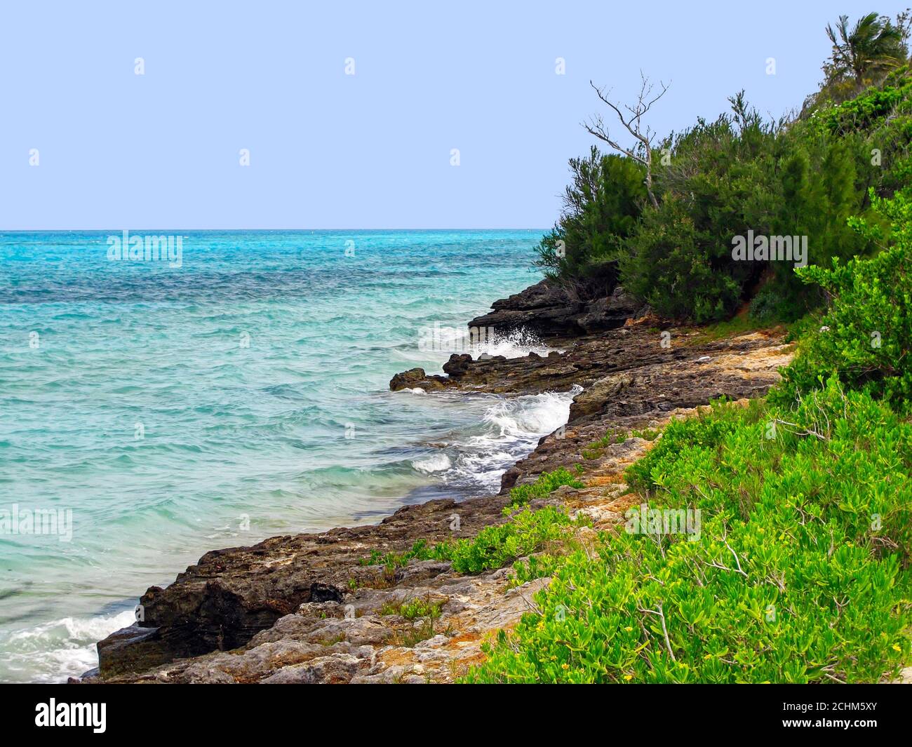 ocean scene; rocky shoreline; multi-hued water; green vegetation ...