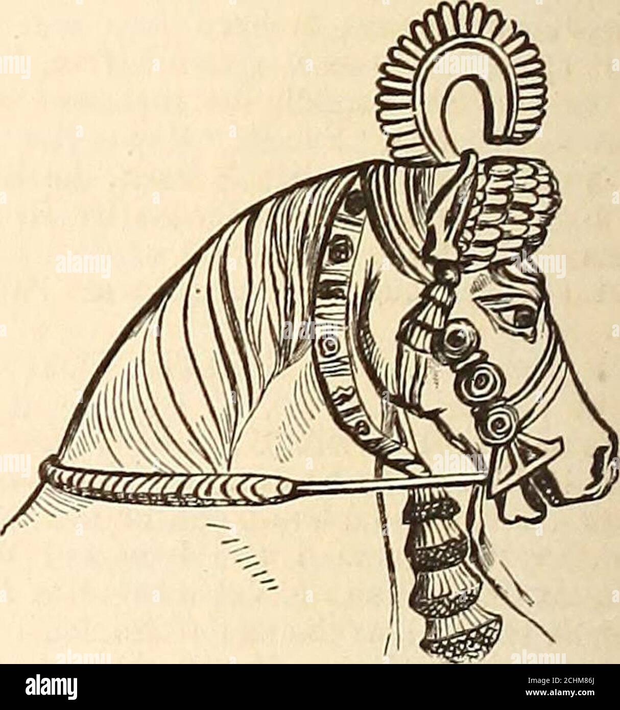 Mare pens hi-res stock photography and images - Alamy