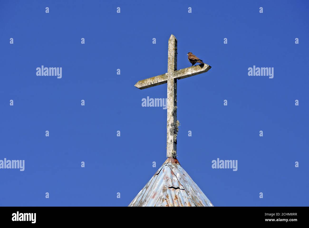Bird on a cross hi-res stock photography and images - Alamy