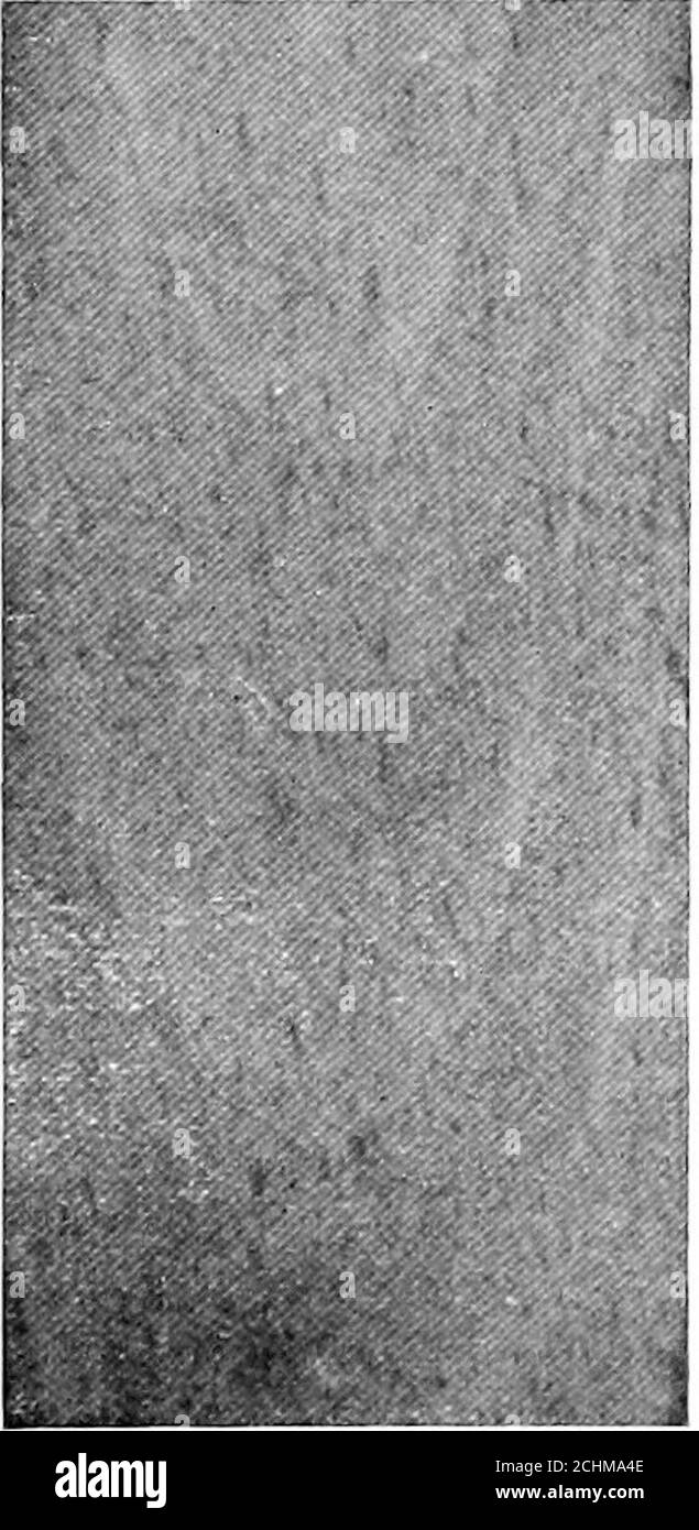 Tangential cross section hi-res stock photography and images - Alamy