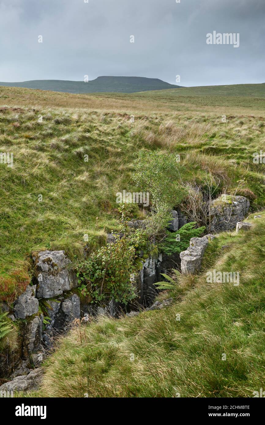 Juniper cave hi-res stock photography and images - Alamy