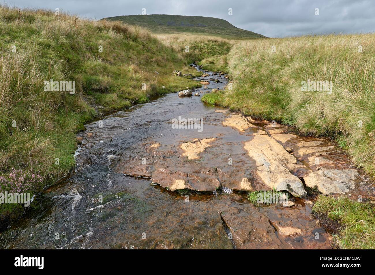 Stream running through moorland over limestone towards Juniper Gulf ...