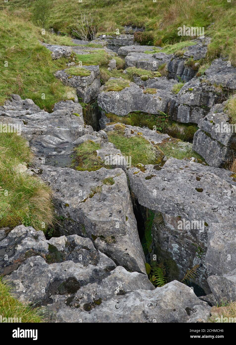Juniper cave hi-res stock photography and images - Alamy