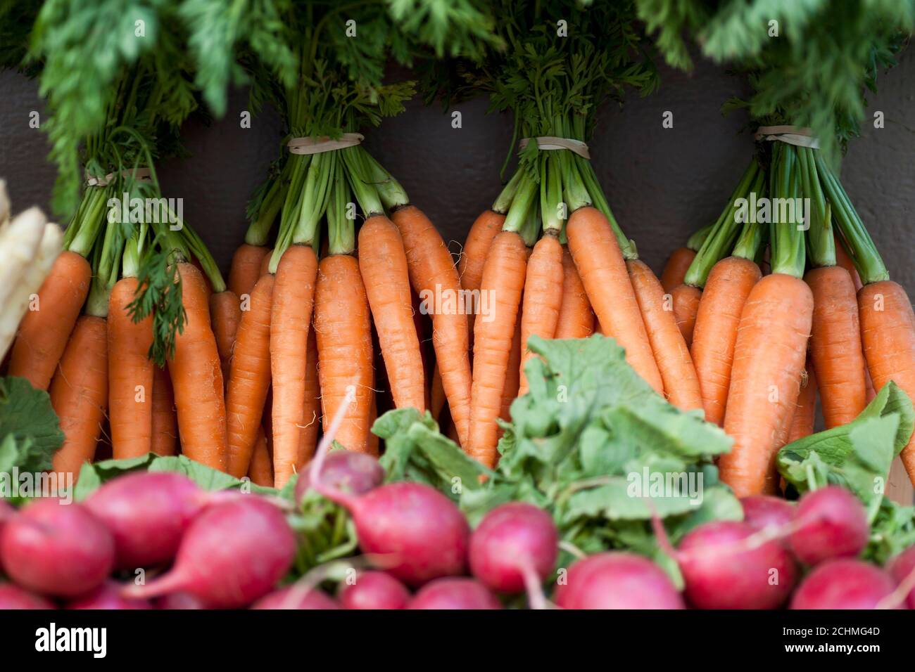 Zanahoria hi-res stock photography and images - Alamy