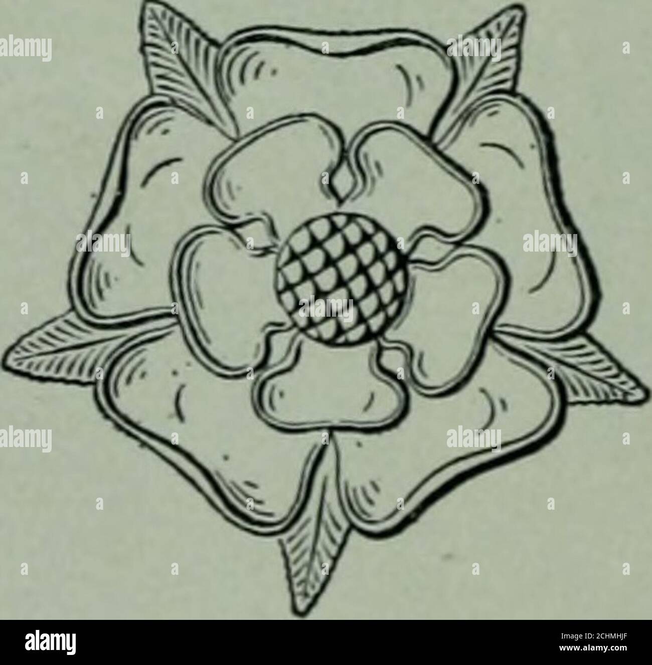 Tudor rose emblem hi-res stock photography and images - Alamy