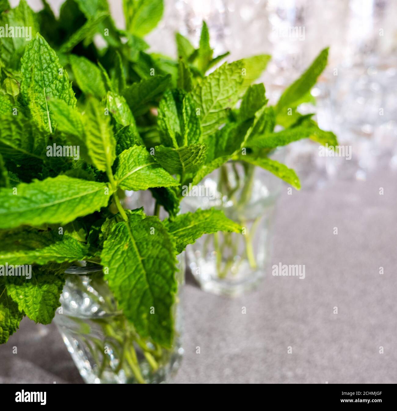 Green mint leaves close hi-res stock photography and images - Alamy