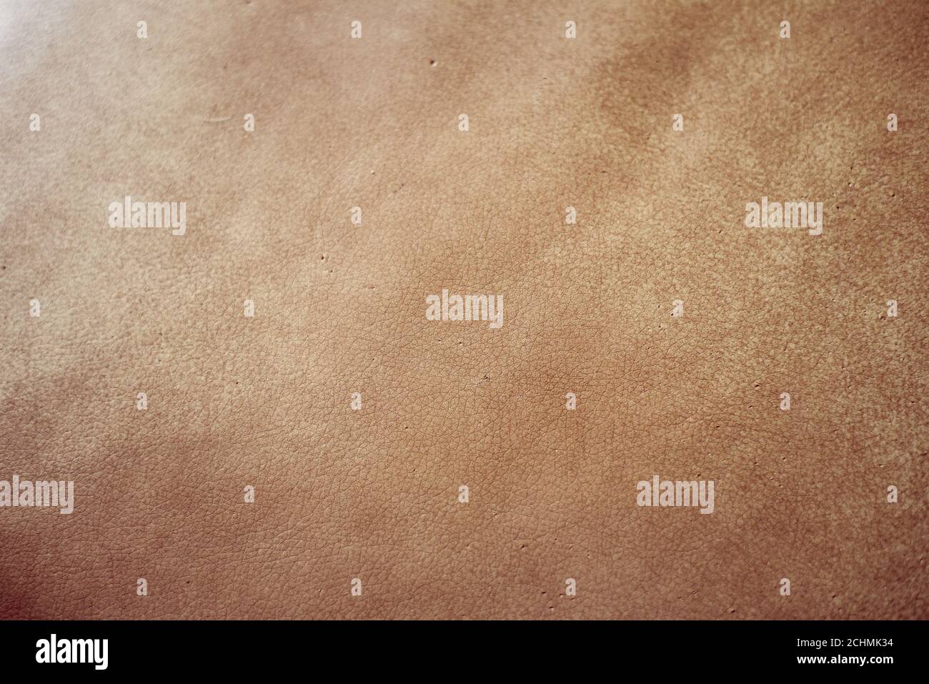 Leatherette cover hi-res stock photography and images - Alamy