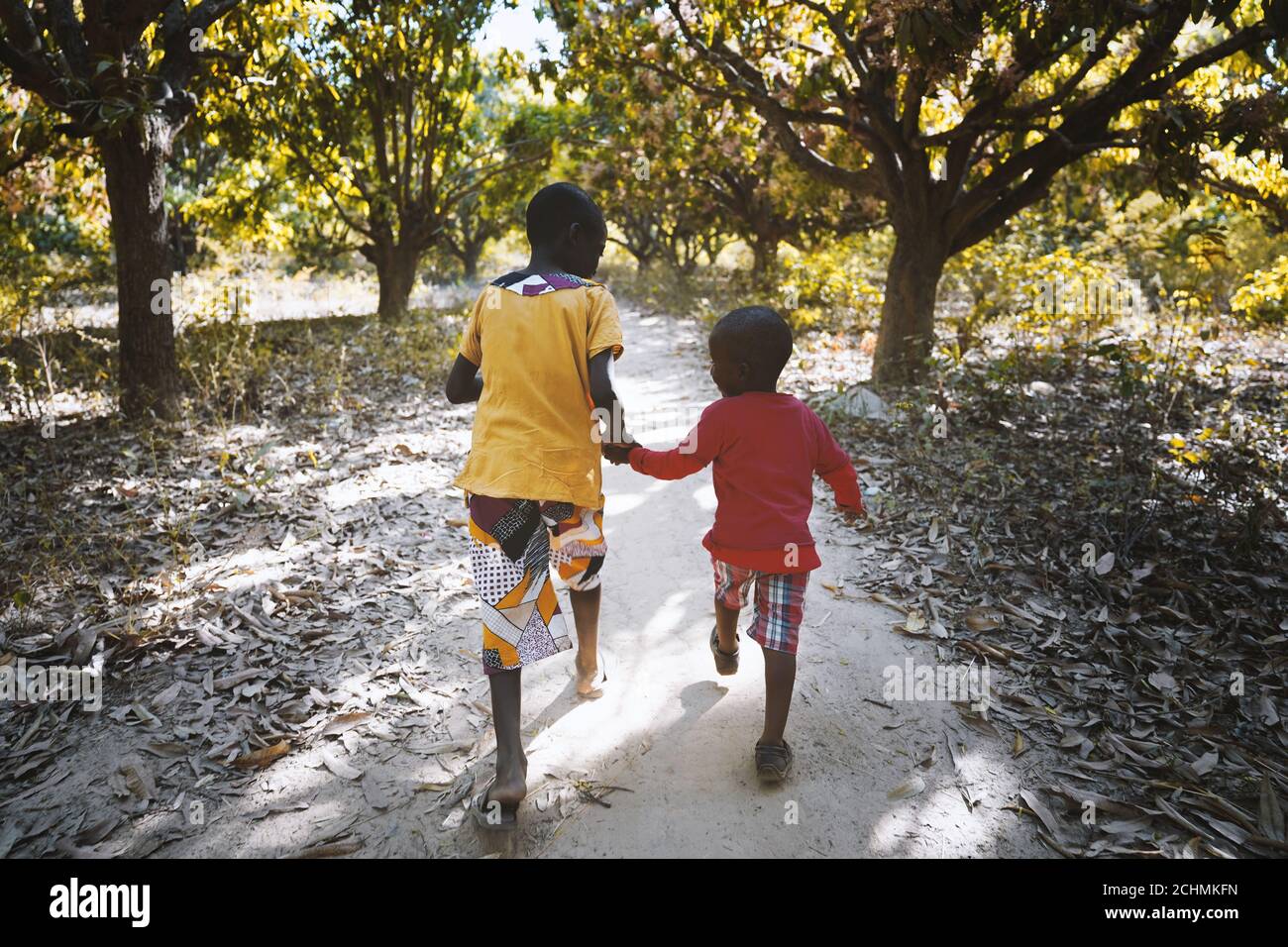 Handsome African Black Boys Having Fun in Little Village Outside Bamako ...
