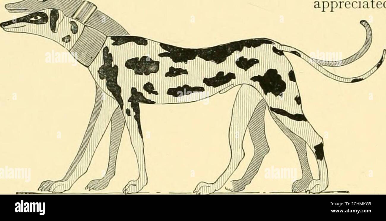 Ancient egyptian hunting with dogs hi-res stock photography and images ...