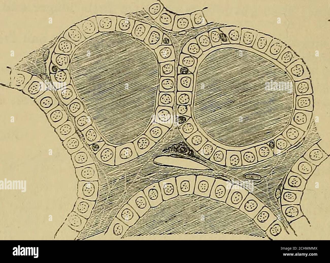 Retrogressive hi-res stock photography and images - Alamy