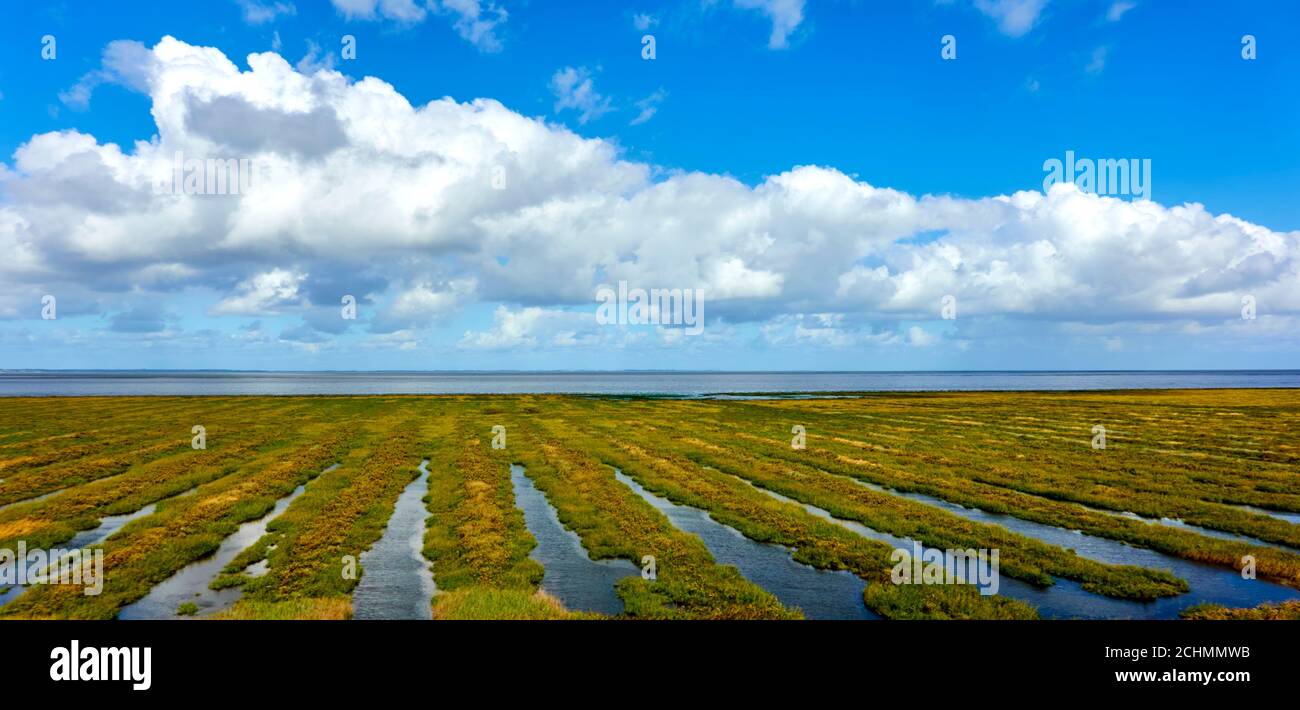 Extraction of new land in the marsh plain of the Wadden Sea at the ...