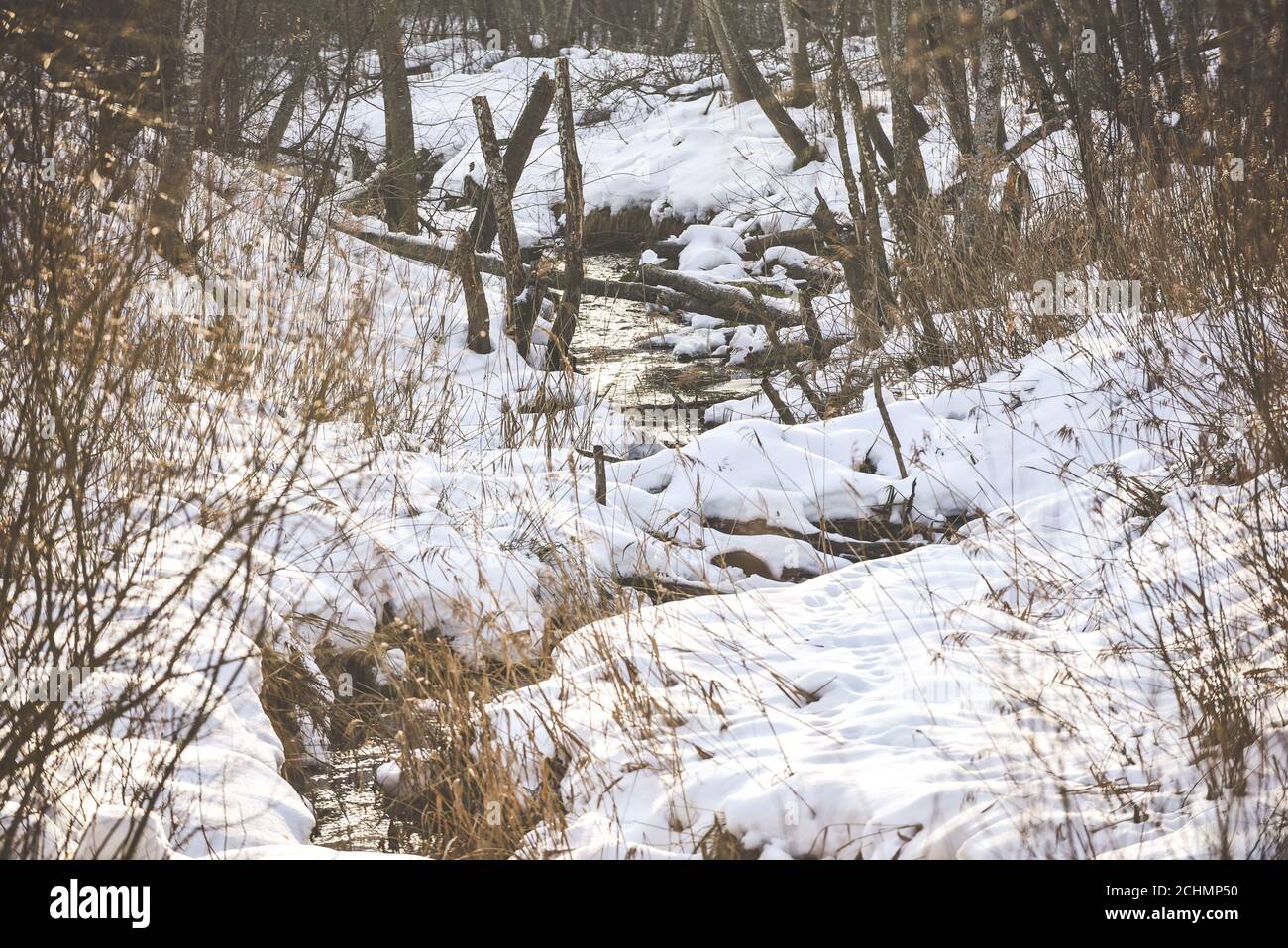 Warm stream in the snow-covered Stock Photo - Alamy