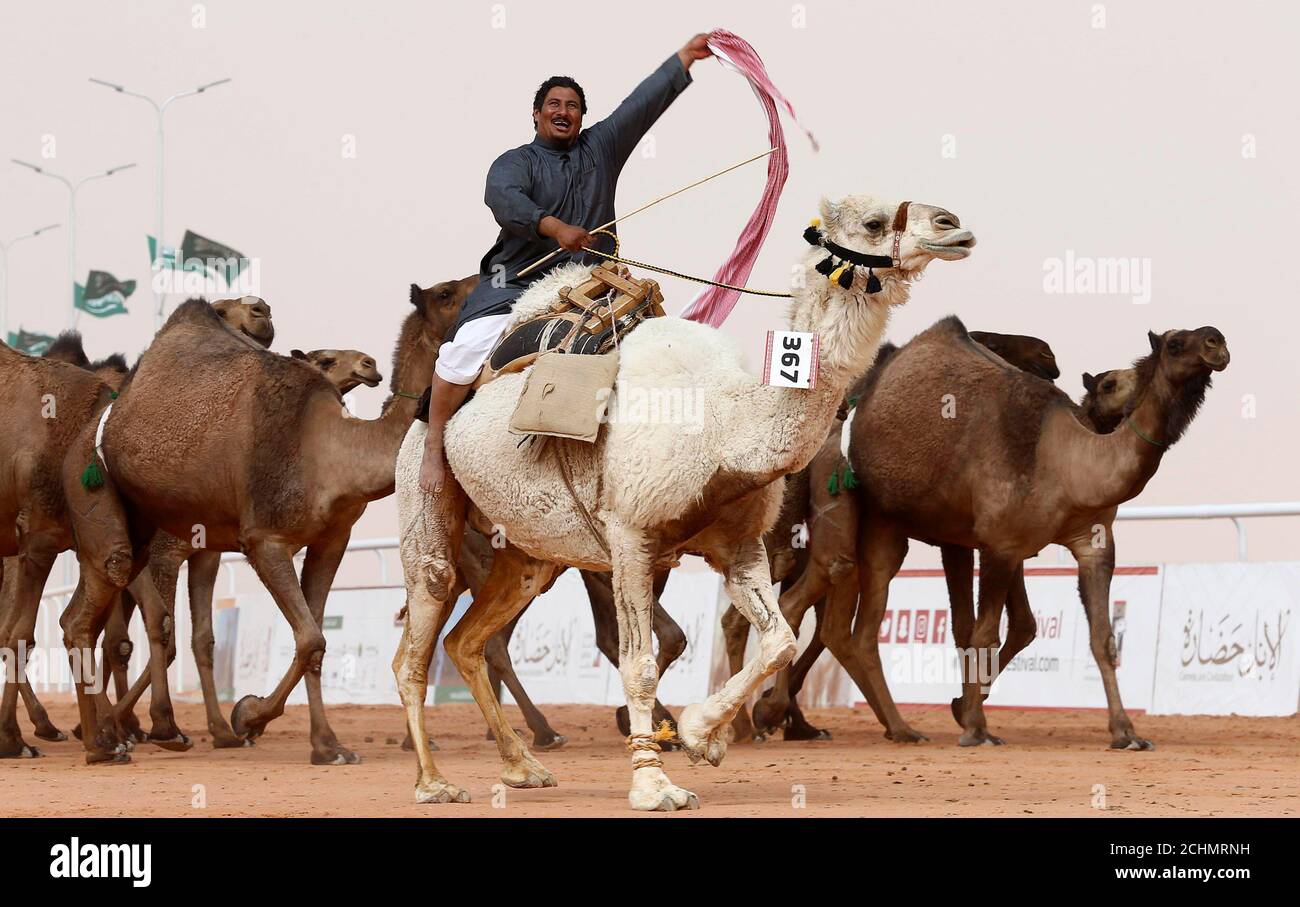 Camel festival saudi arabia hi-res stock photography and images - Alamy