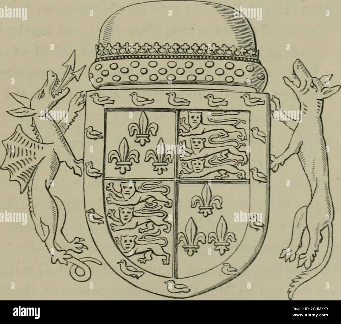 Dimidiated hi-res stock photography and images - Alamy