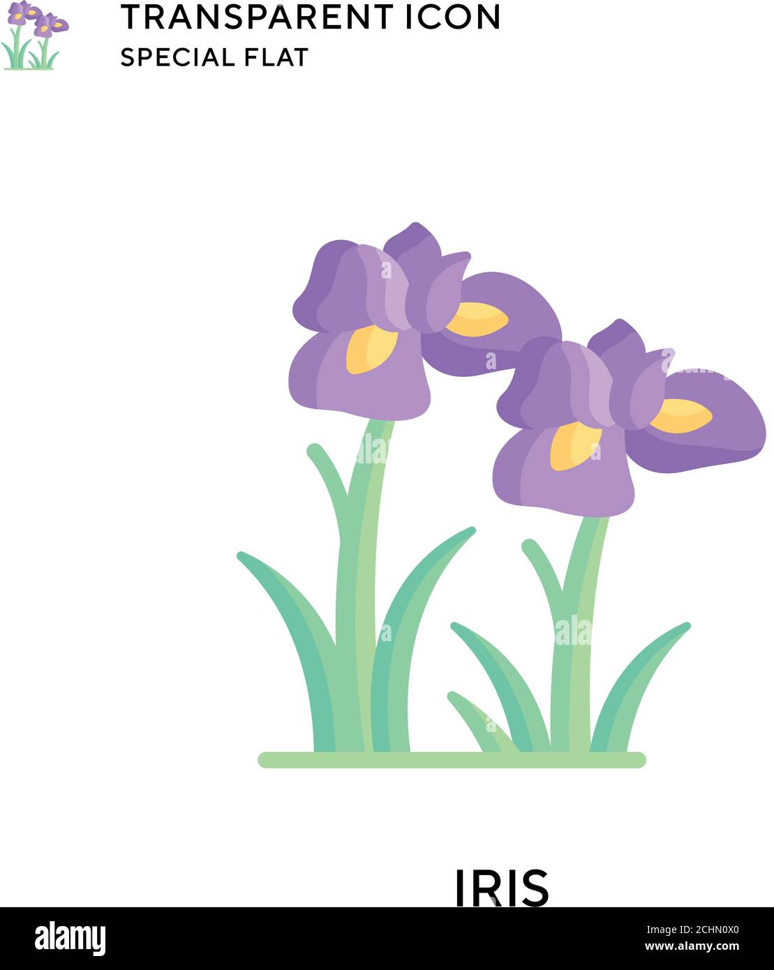 Bearded iris Stock Vector Images - Alamy