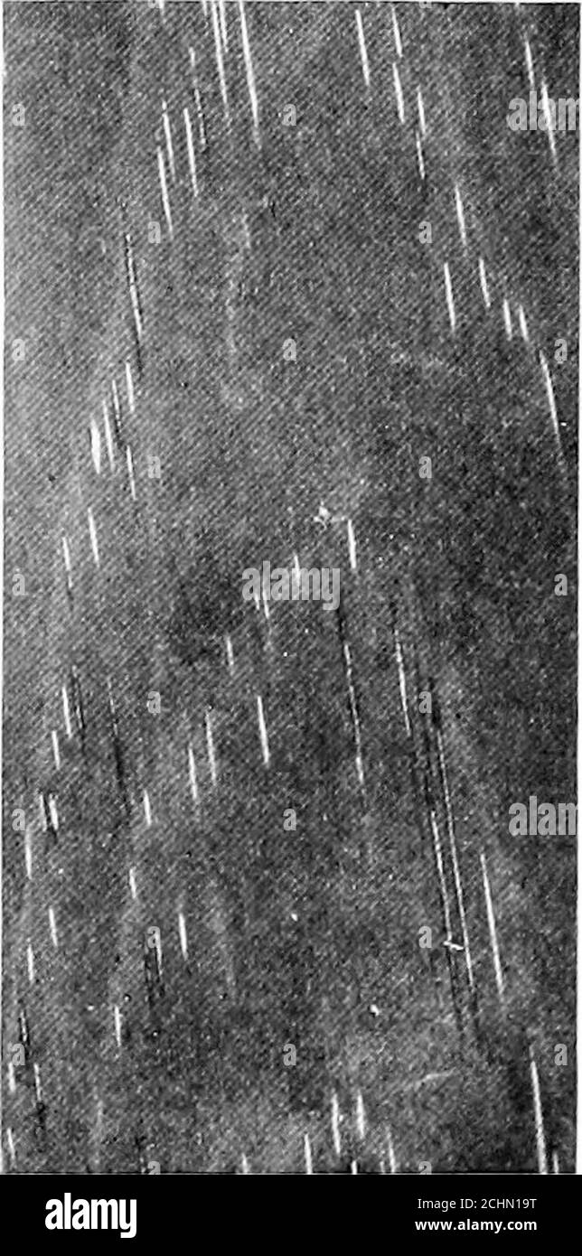 Tangential cross section hi-res stock photography and images - Alamy